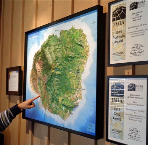 Kauai Hawaii Three Dimensional 3D Raised Relief Map Mounted with Black ...