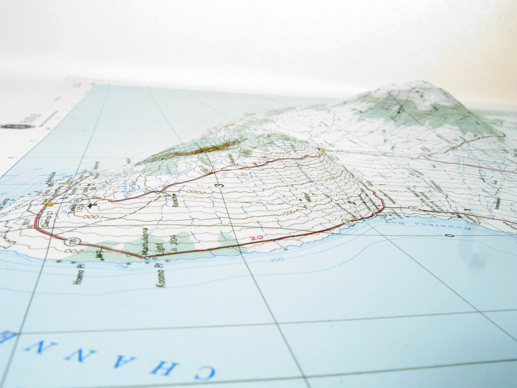 Hilo USGS Regional Raised Relief 3D map – RaisedRelief.com